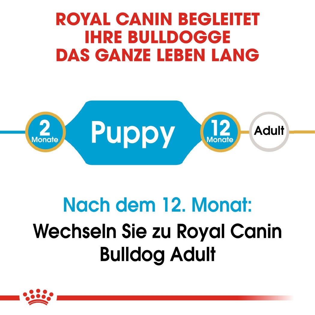 Royal Canin Puppy Bulldogge 30 Hundefutter