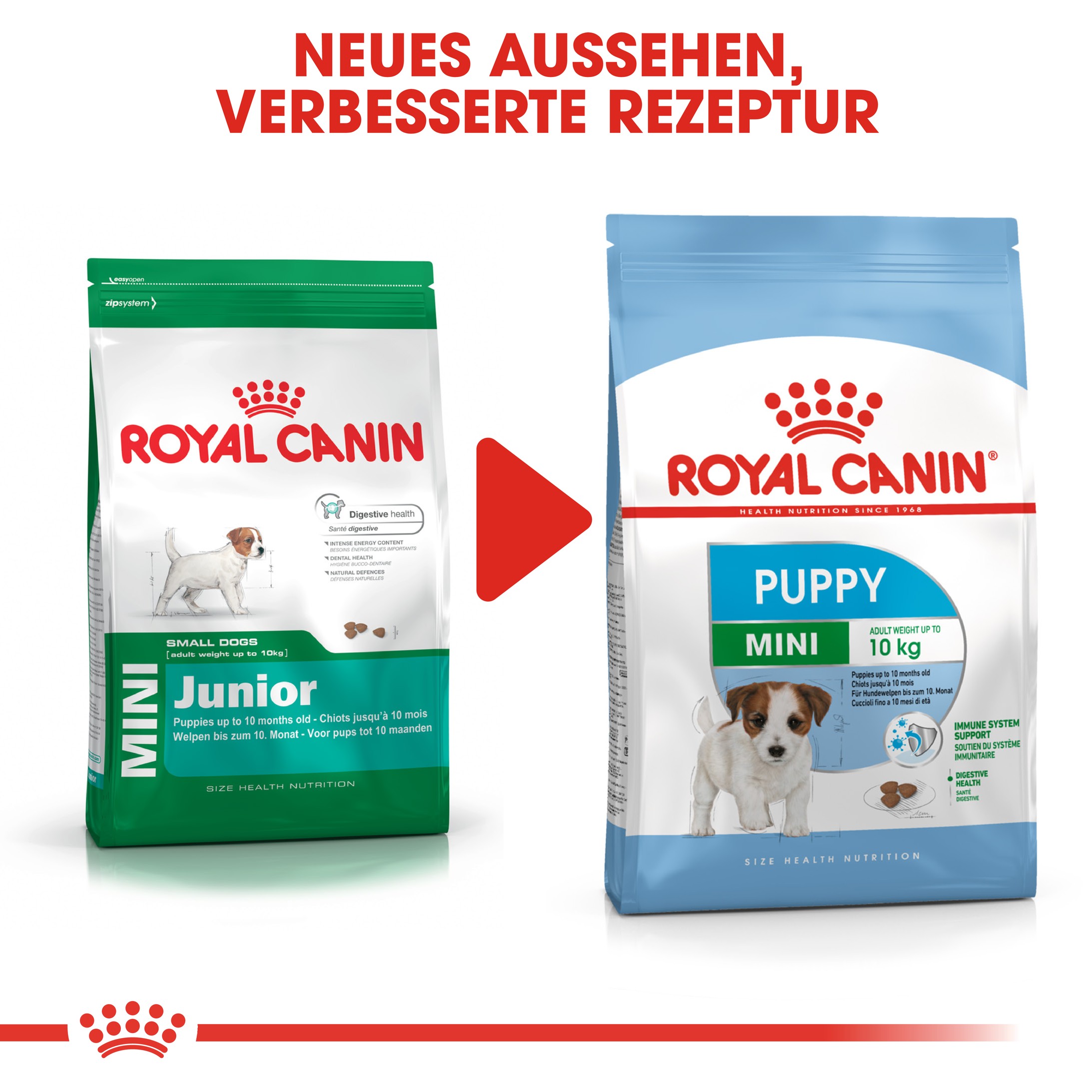 Royal Canin Mini Puppy Hundefutter online